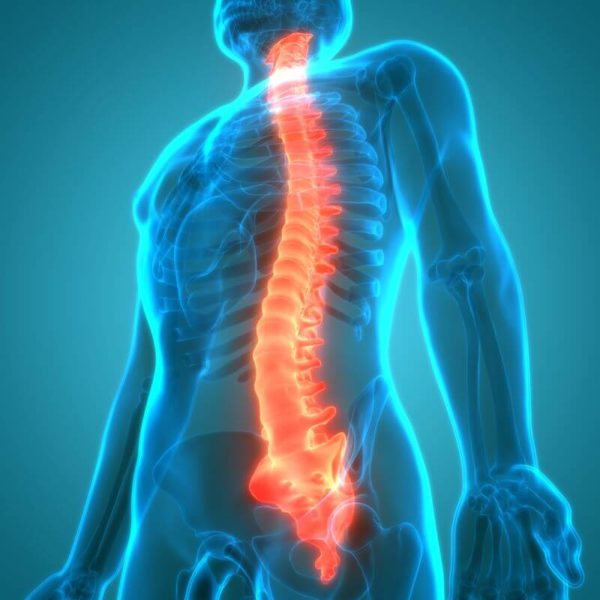 Bone Density CT Scans | Full Body Scans in Las Vegas